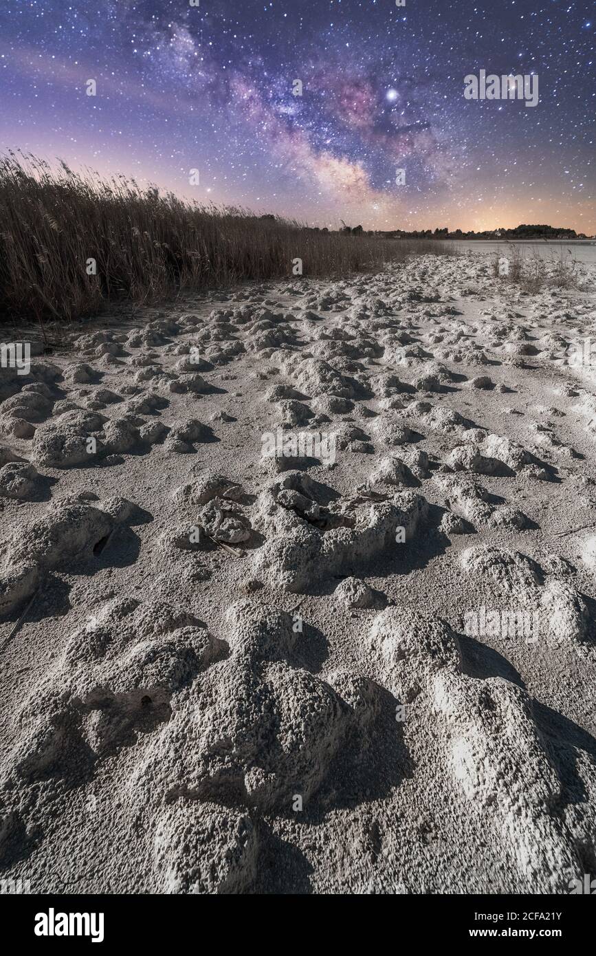 Drought desert landscape with dry ground and plants under colorful nigh ...