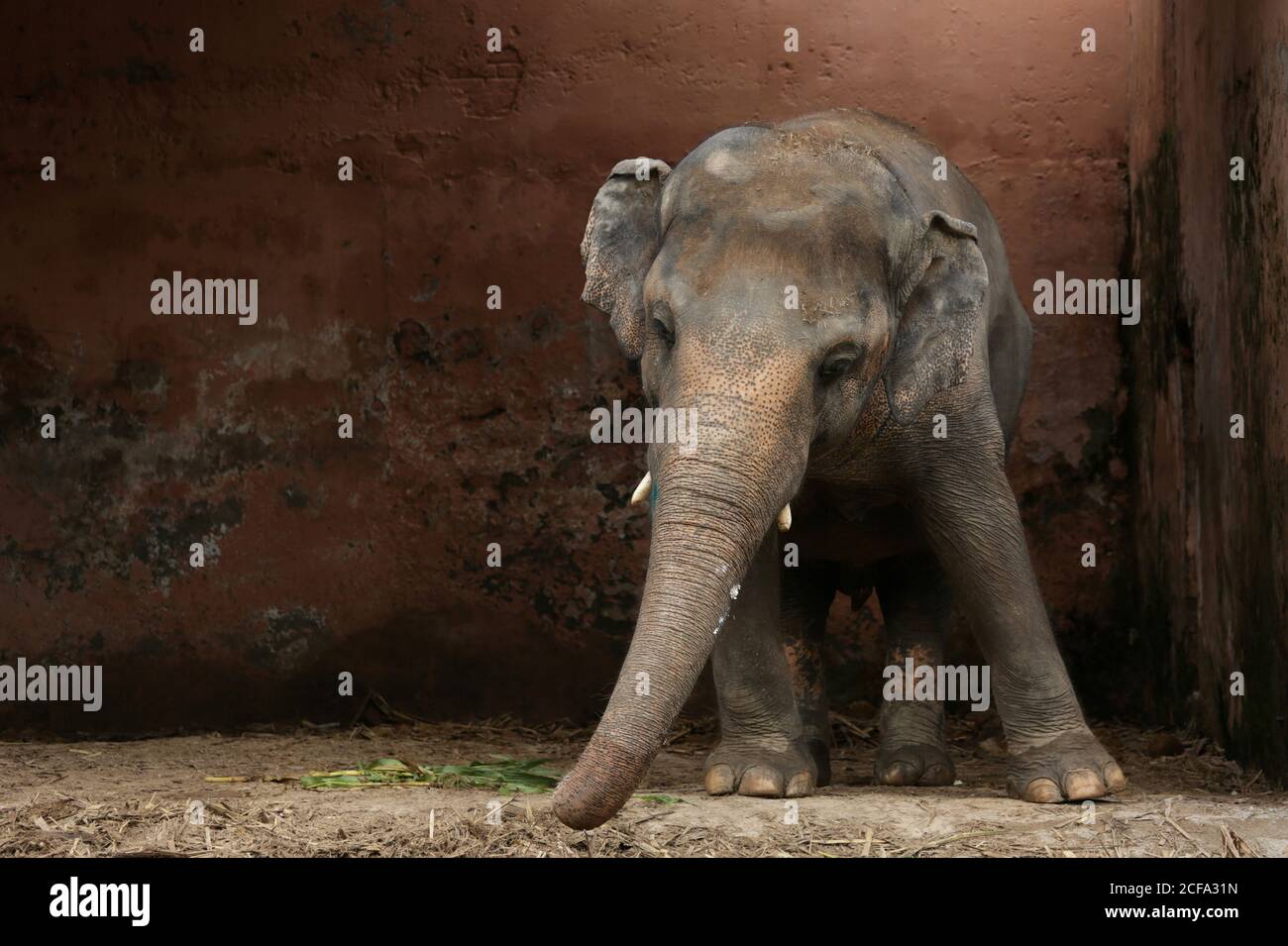 Benef High Resolution Stock Photography and Images - Alamy