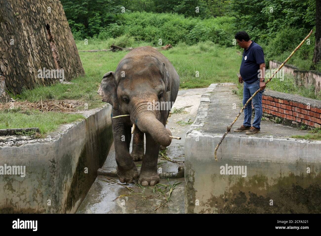 Marghazar zoo hi-res stock photography and images - Alamy