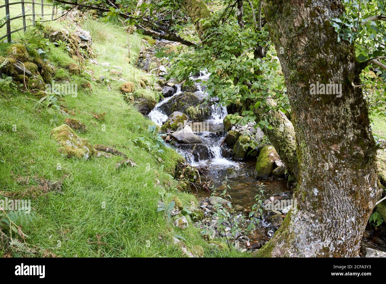 small stream flowing down hillside in loughrigg lake district national ...