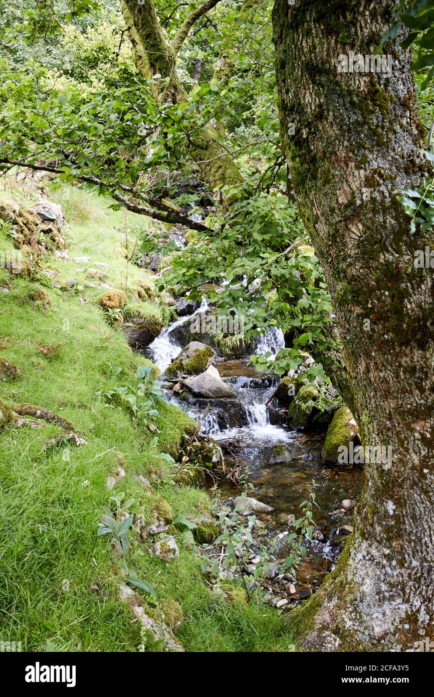 small stream flowing down hillside in loughrigg lake district national ...