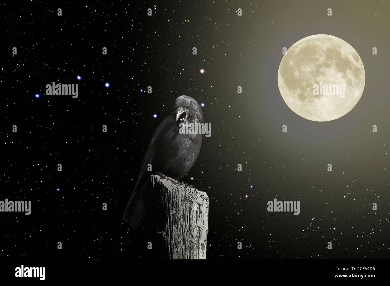 Crow And Full Moon High Resolution Stock Photography and Images - Alamy