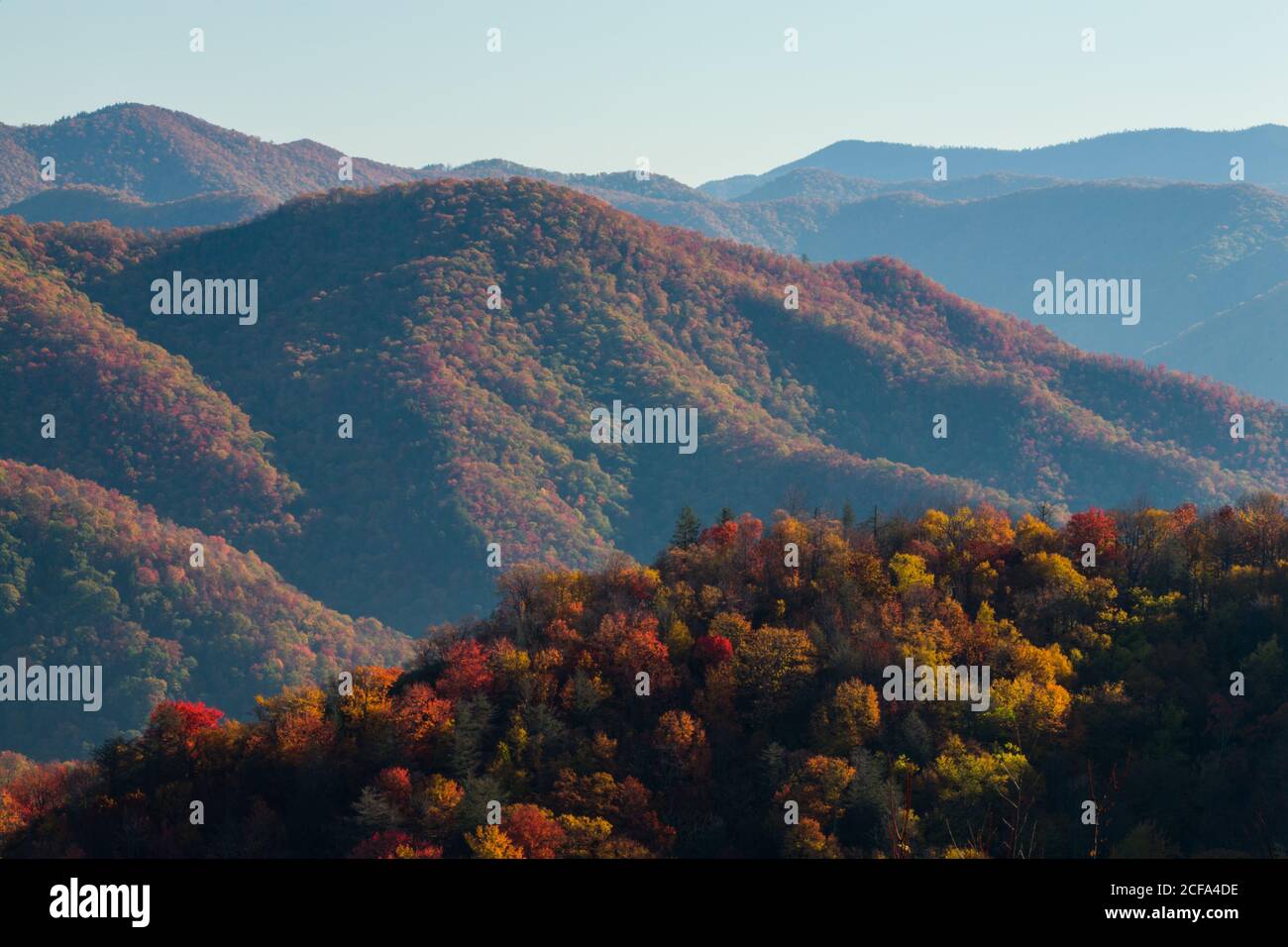 Colorful Autumn Foliage in the Great Smoky Mountains National Park Stock Photo - Alamy