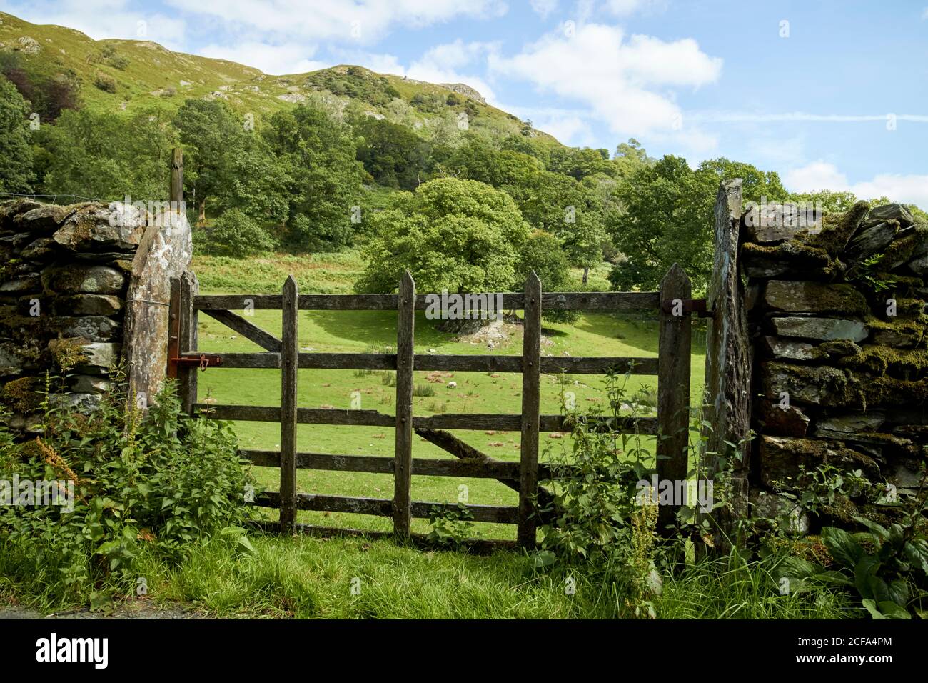 wooden gate in dry stone wall entrance to field below loughrigg fell ...