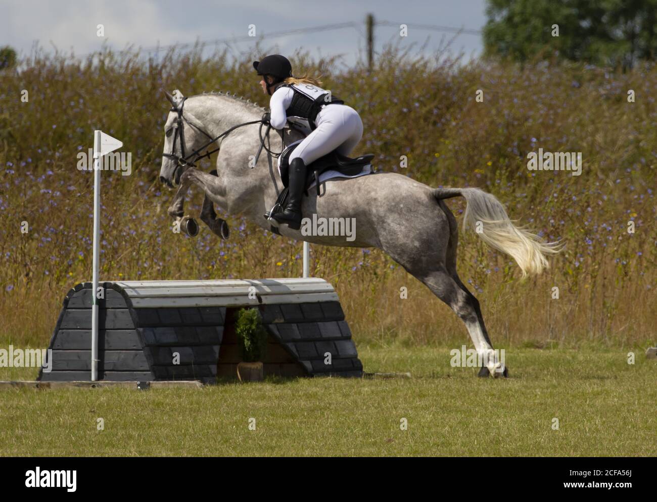 BEDFORD, UNITED KINGDOM - Sep 01, 2020: woman on pale horse jumping ...