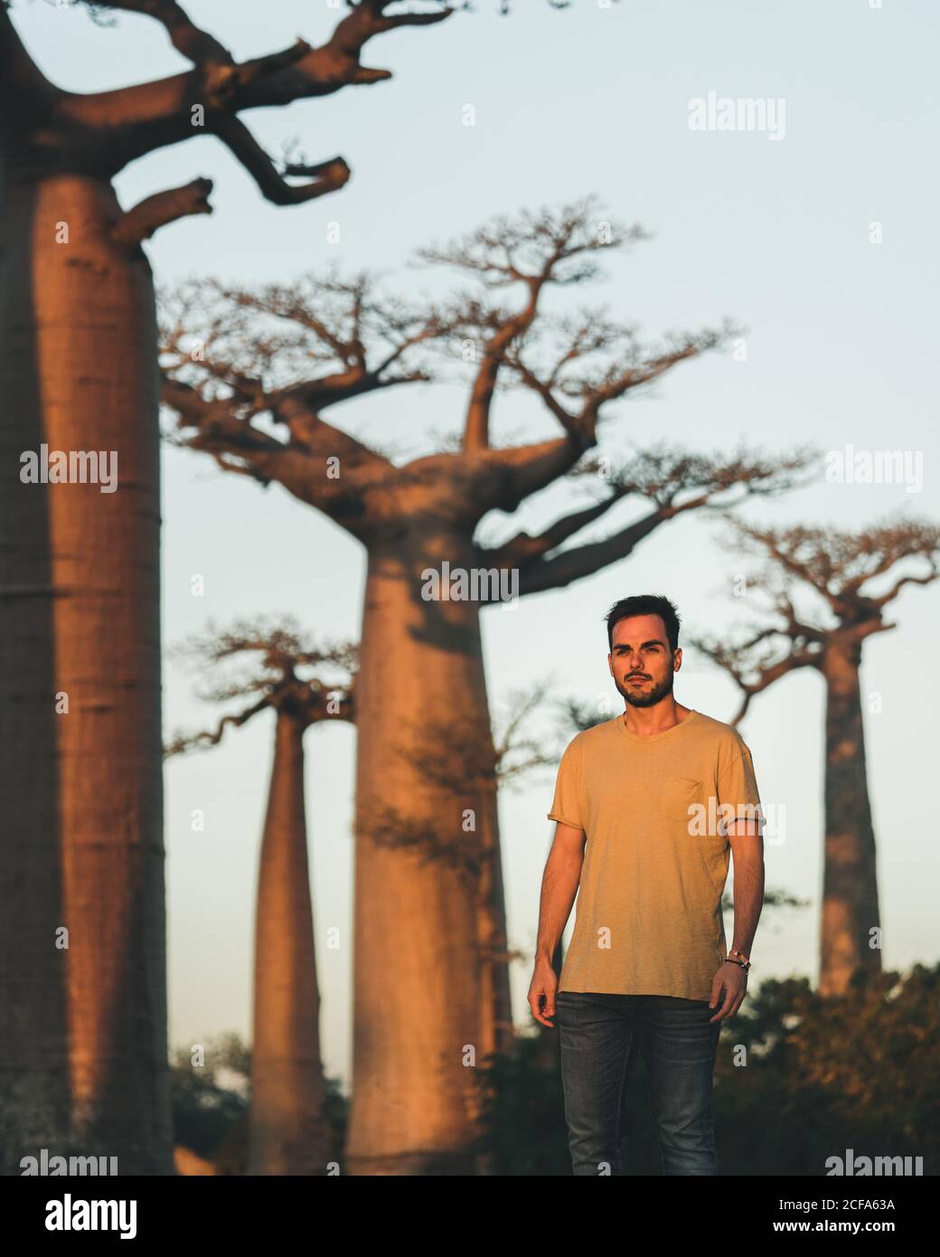 Baobab tree big person hi-res stock photography and images - Alamy