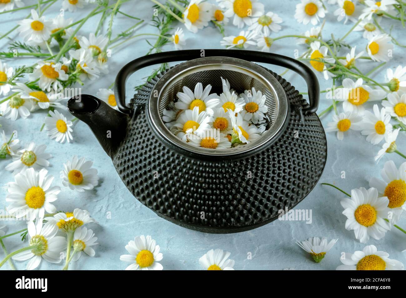 From above rustic pot of chamomile tea served with fresh flowers on ...