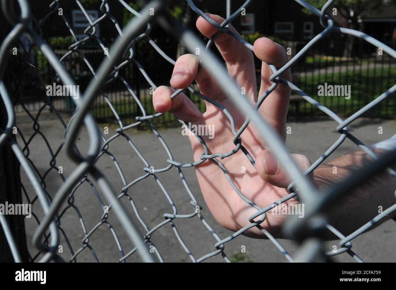 Male hand on chain link fence in park with fingers hanging onto the ...