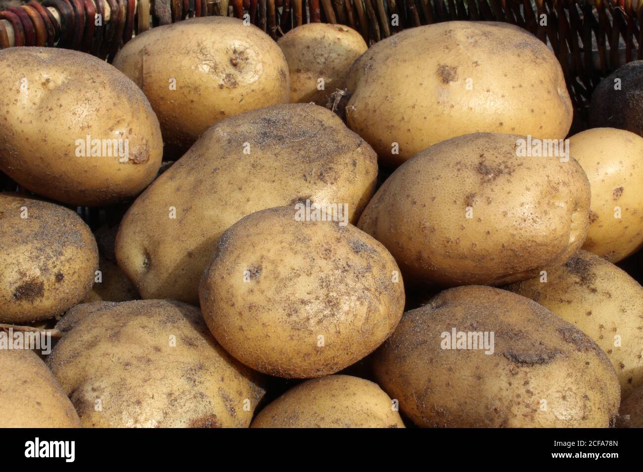 Potatoes sand hi-res stock photography and images - Alamy