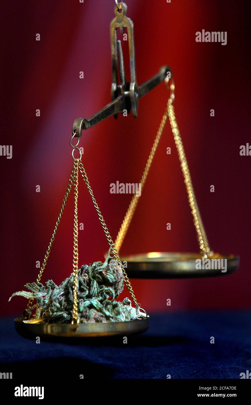 Marijuana buds being weighed on traditional brass scales with piles of ...