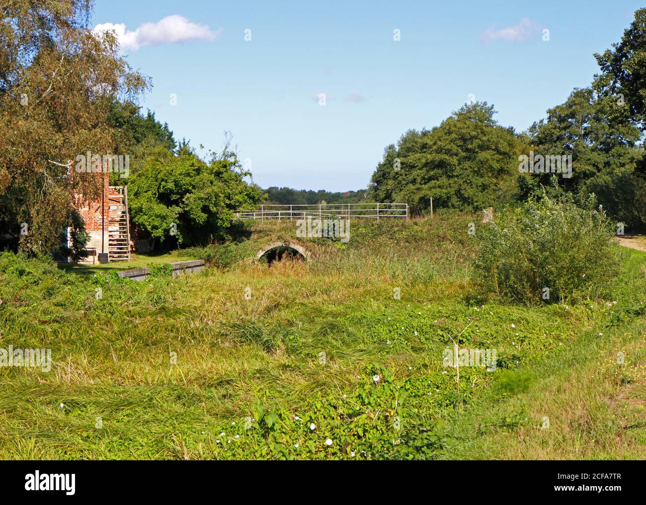 A view of the disused and overgrown North Walsham and Dilham Canal at ...