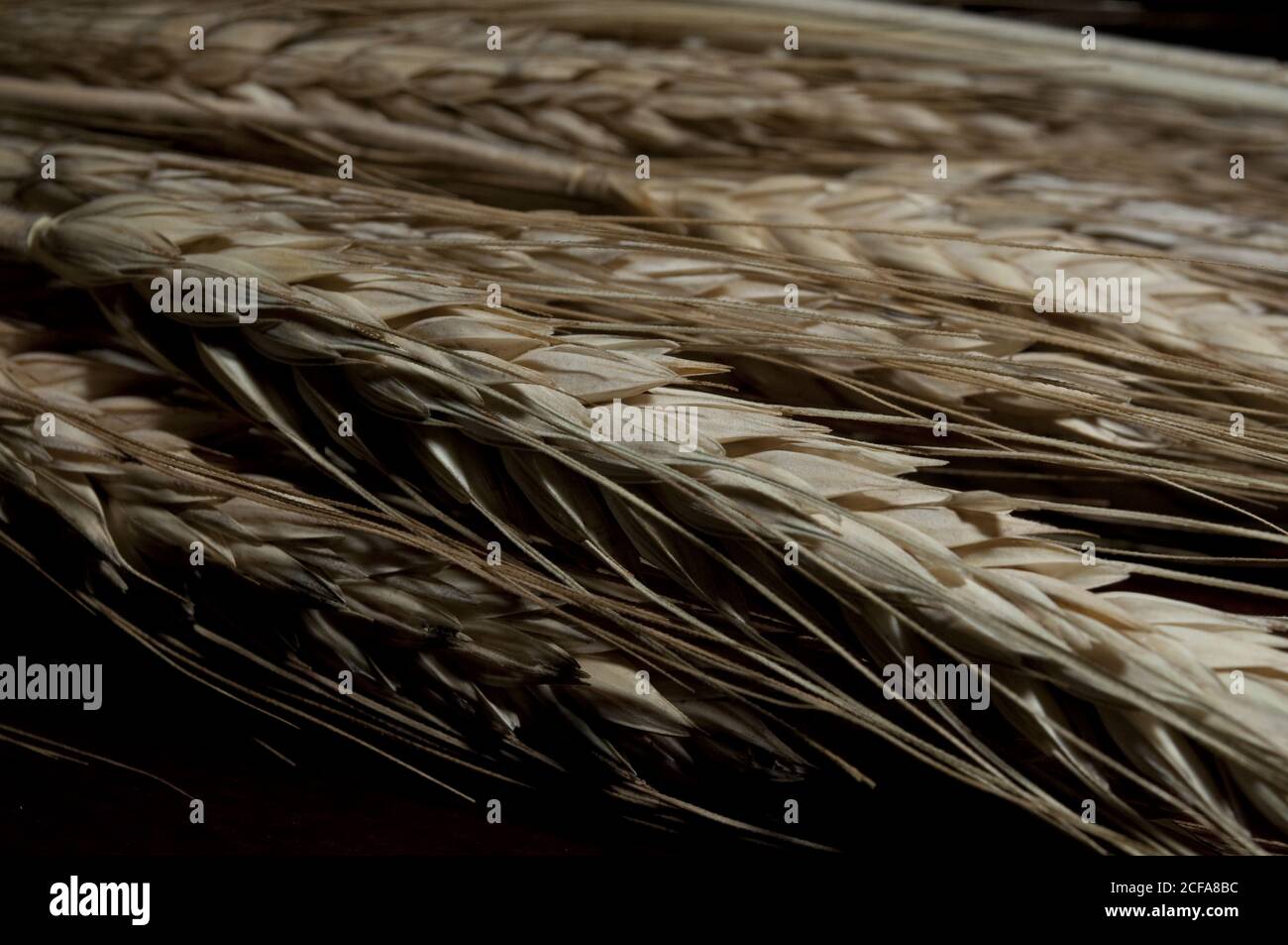 Closeup shot of wheat branches Stock Photo - Alamy