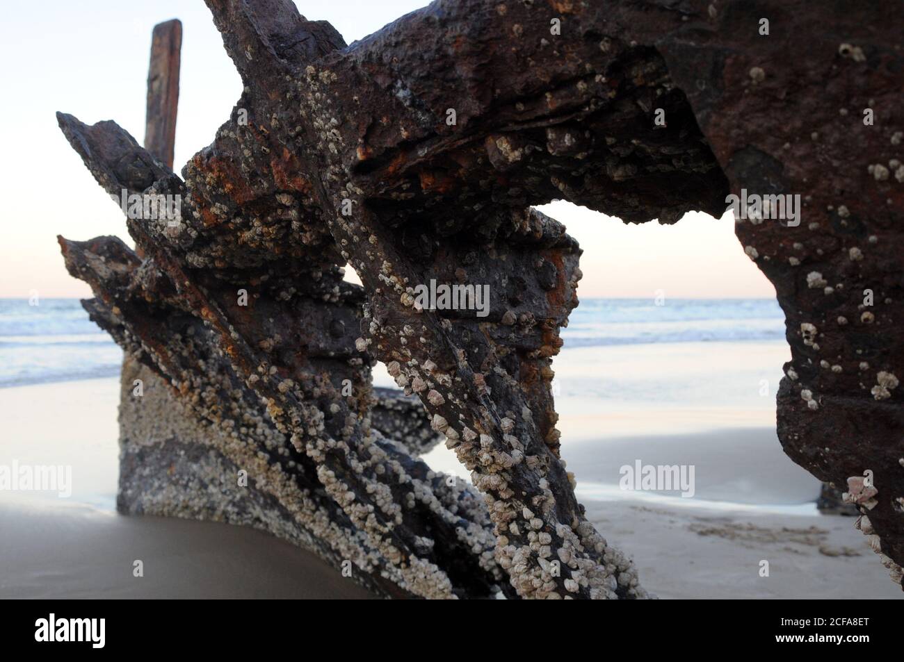 Barnacles on the hull of a ship hi-res stock photography and images - Alamy