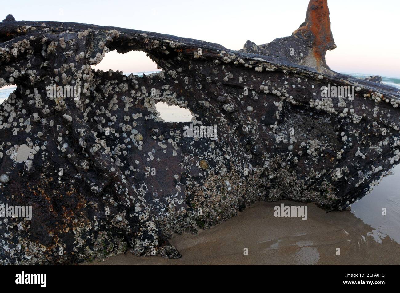 Decaying, rusty ship wrecked hull of a part buried on a Australian ...
