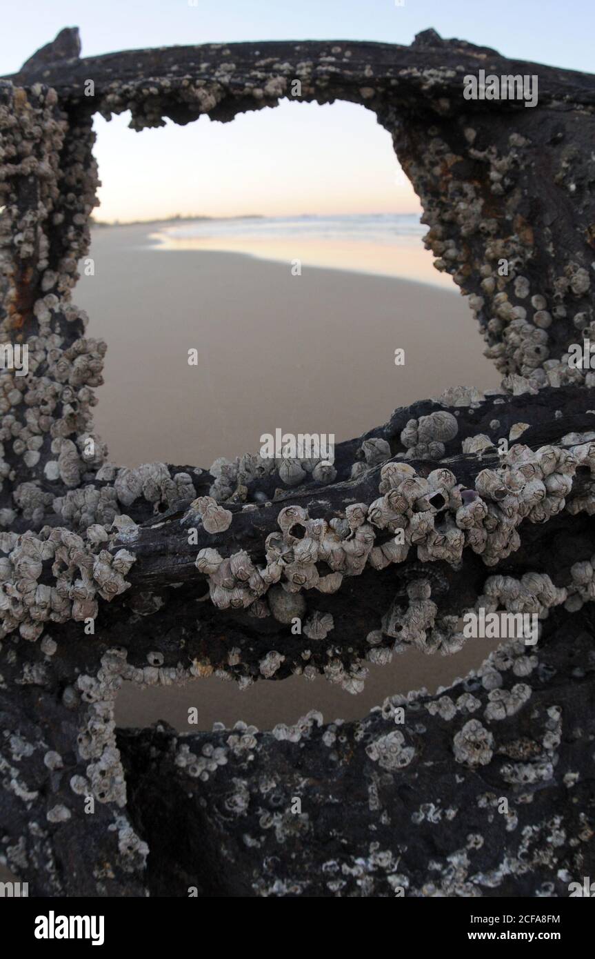 Decaying, rusty ship wrecked hull of a part buried on a Australian ...