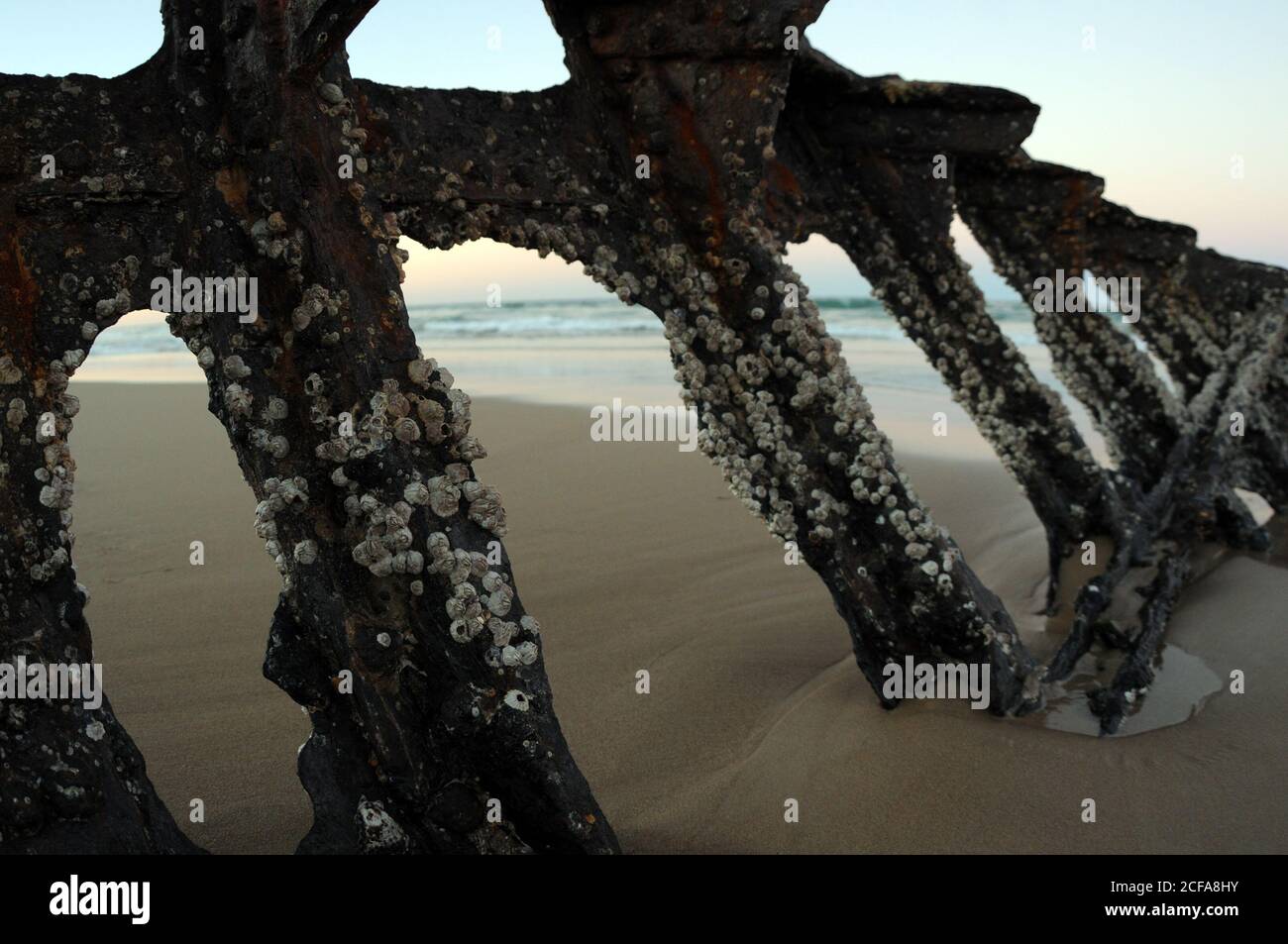 Decaying, rusty ship wrecked hull of a part buried on a Australian ...