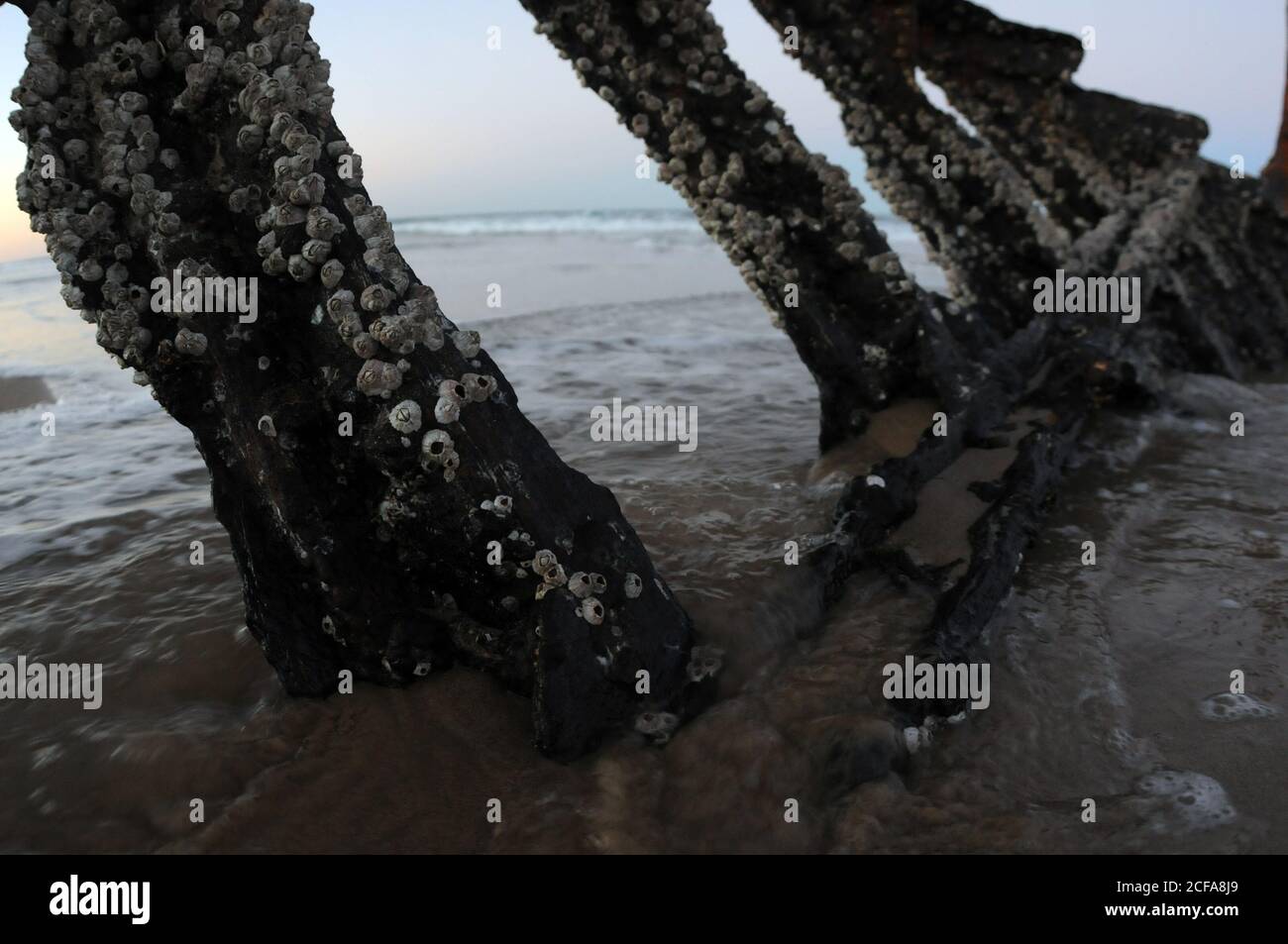 Decaying, rusty ship wrecked hull of a part buried on a Australian ...