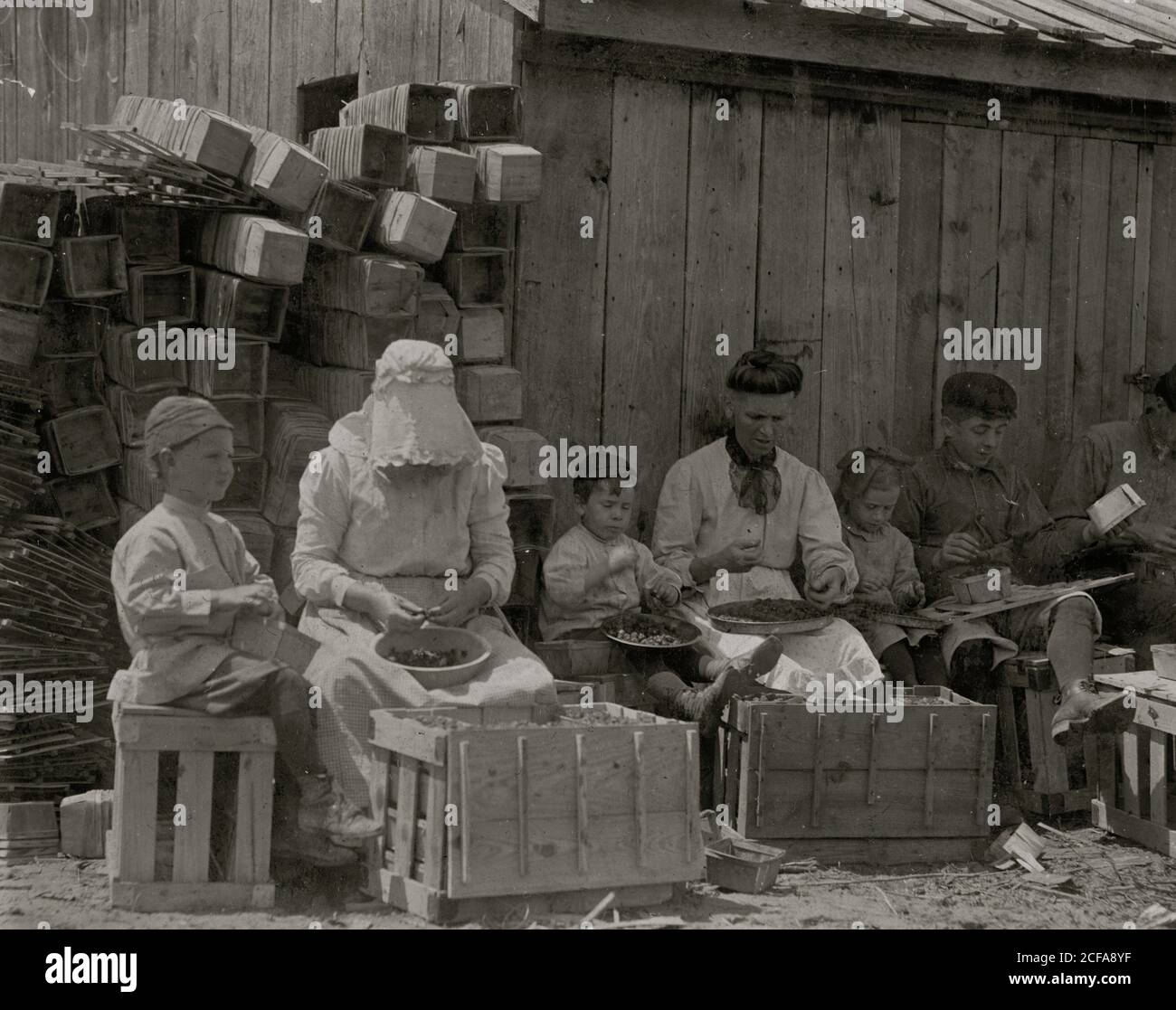 Small family group hulling berries at Johnson's Hulling Station Stock ...