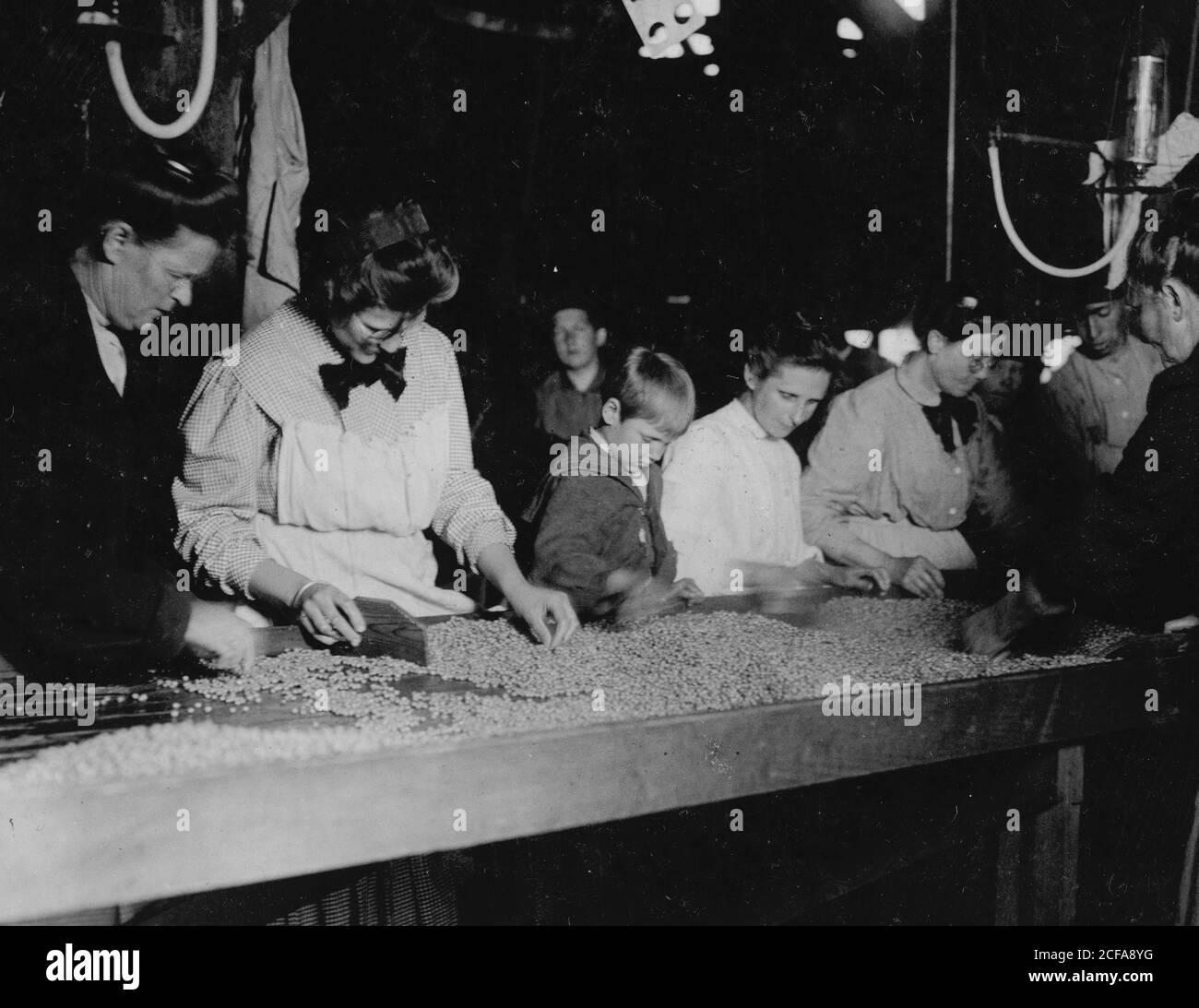 A group sorting peas at the table in Ross's Cannery, Seaford, Del. The ...