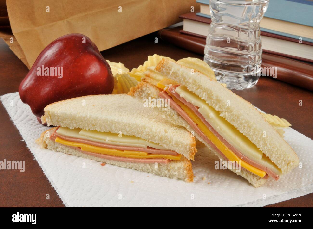 A bologna and cheese sandwich sack lunch with an apple, potato chips ...