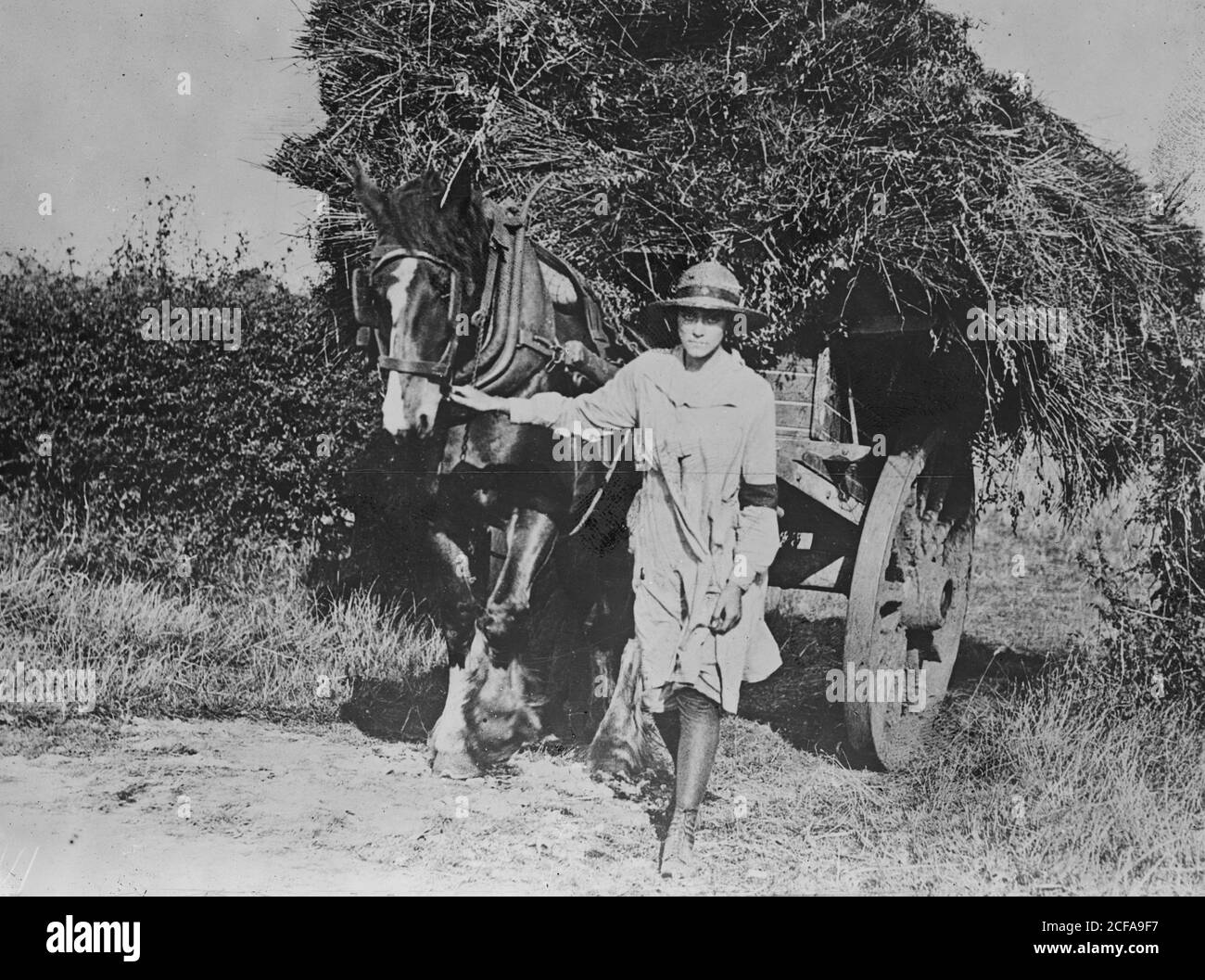 British woman with hay wagon Stock Photo - Alamy