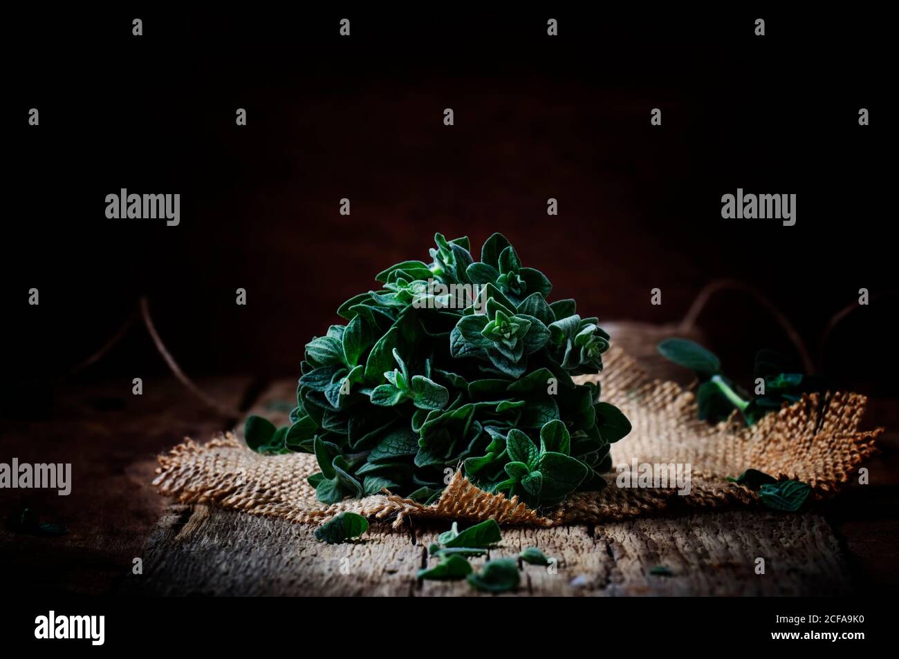 Fresh green oregano or Origanum vulgare in a beam, vintage wood ...