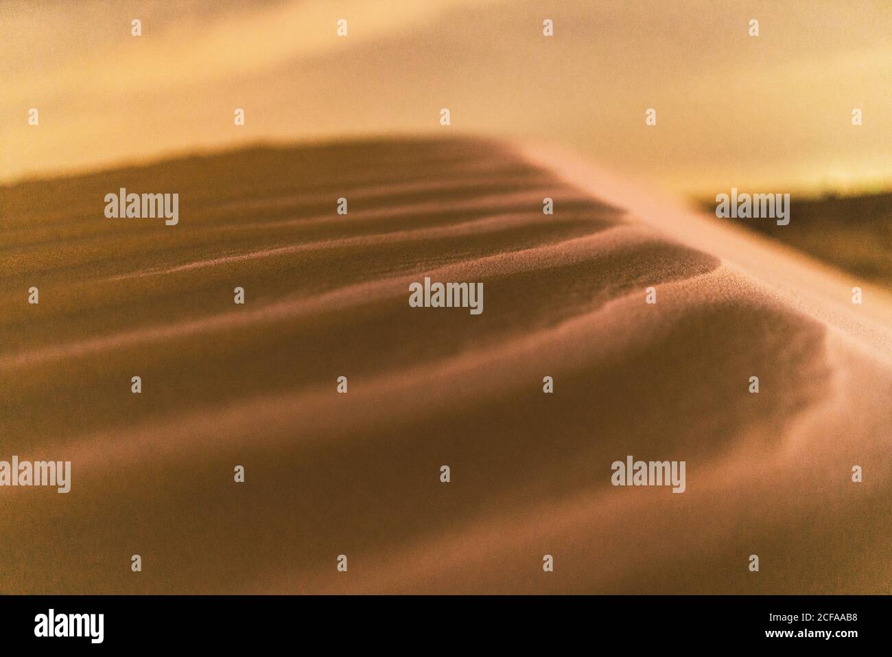 Small dunes on desert sand Stock Photo - Alamy