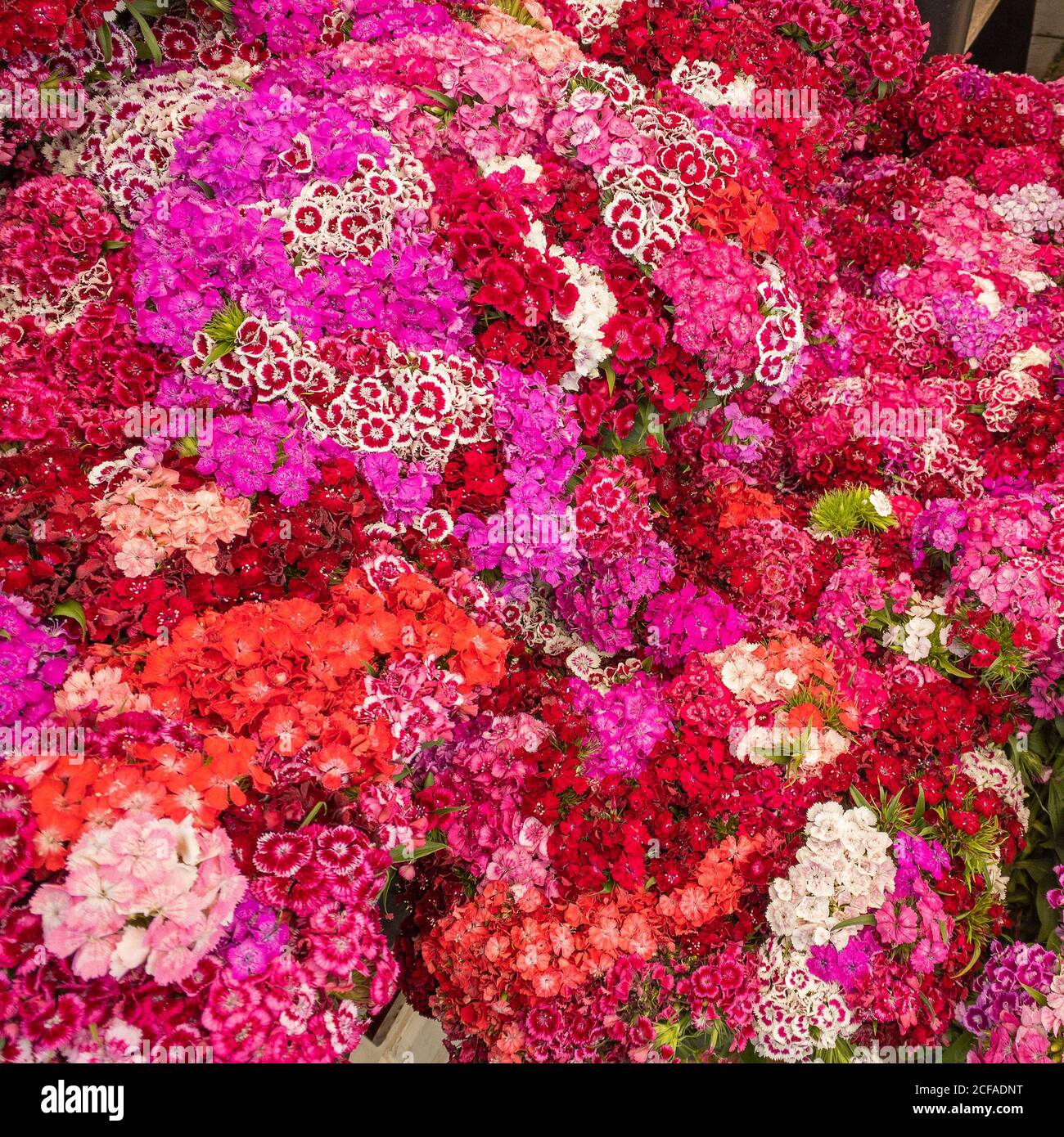 Big bouquets hi-res stock photography and images - Alamy