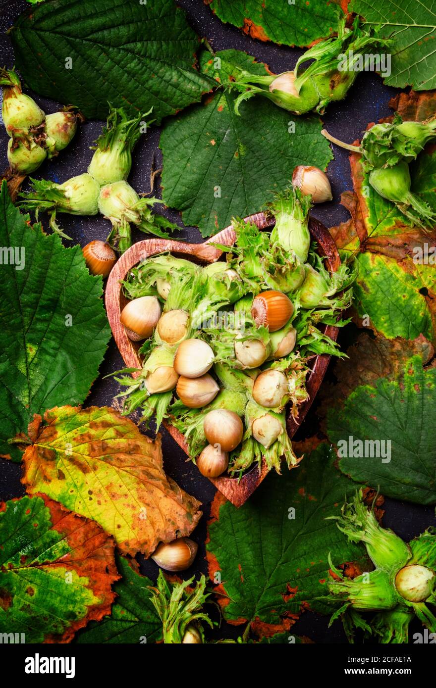 Autumn background with hazelnuts and fallen leaves, top view Stock ...