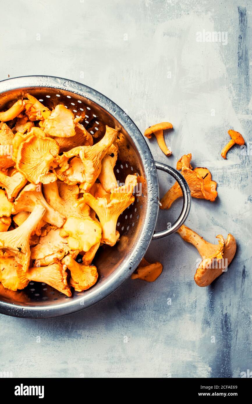 Raw chanterelle, gray background, top view Stock Photo - Alamy