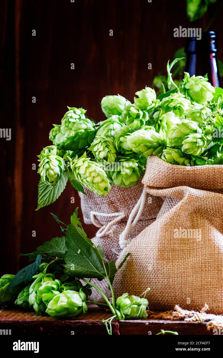 Bags of hops hi-res stock photography and images - Alamy
