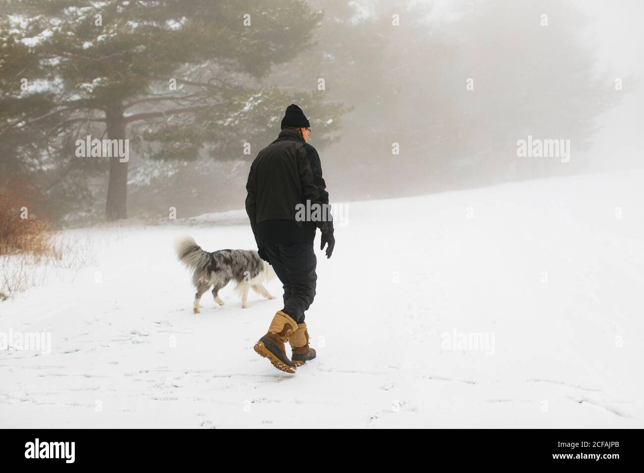 Senior man and his dog walking on a snowy foggy day on the forest Stock ...