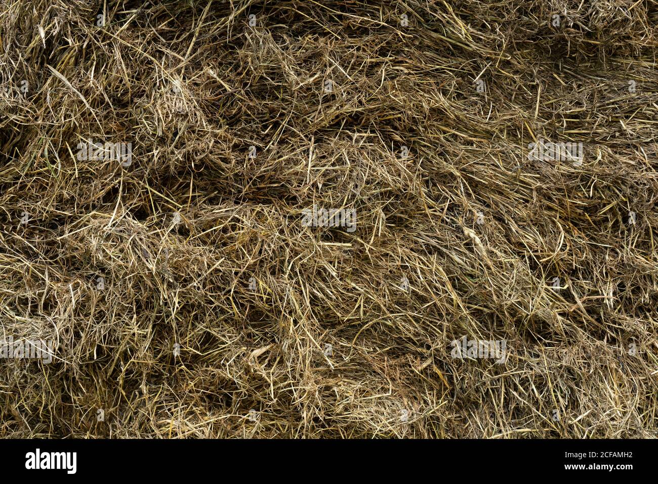 Old Hay Stack High Resolution Stock Photography and Images - Alamy