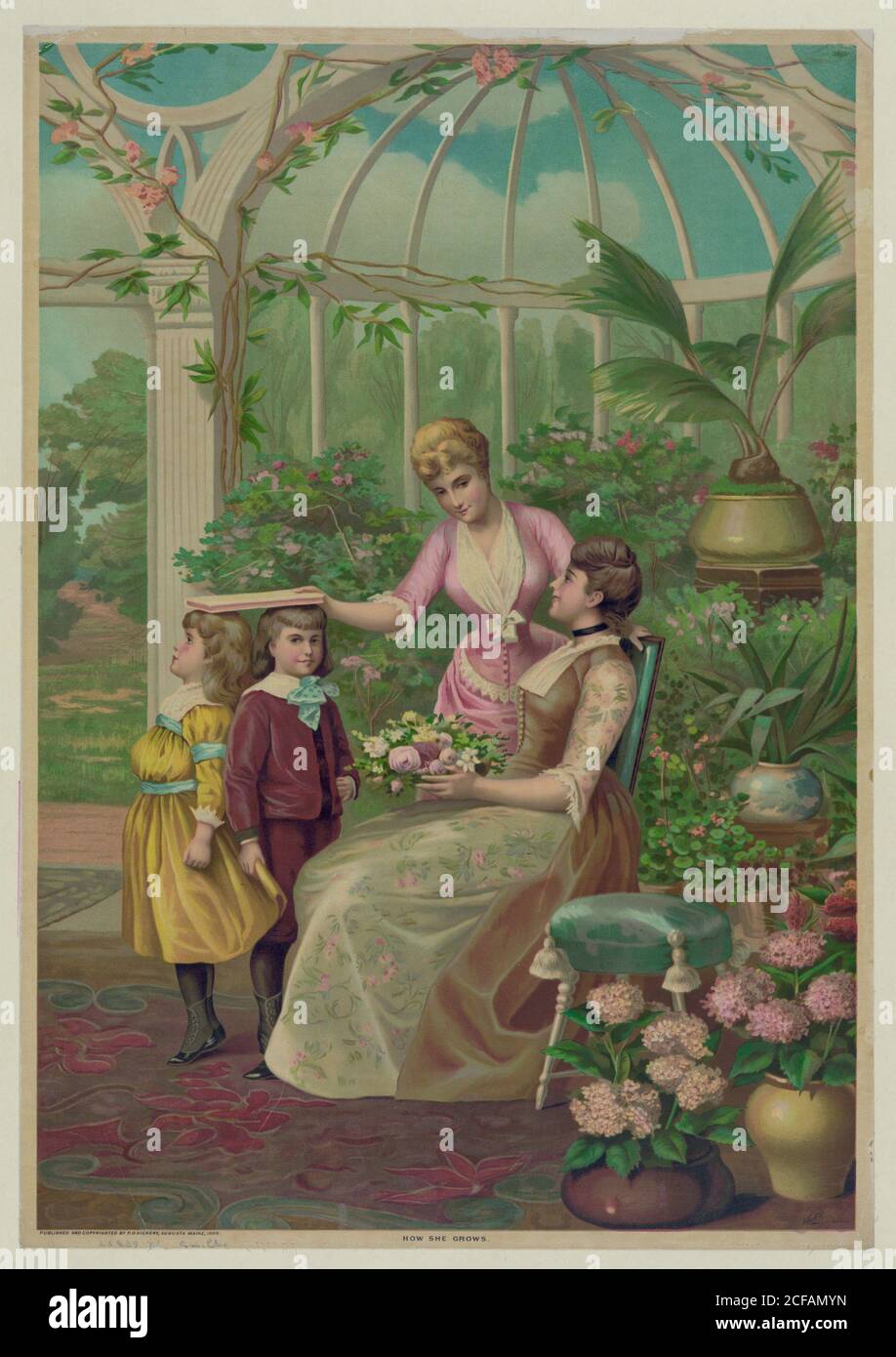 How She Grows Stock Photo - Alamy