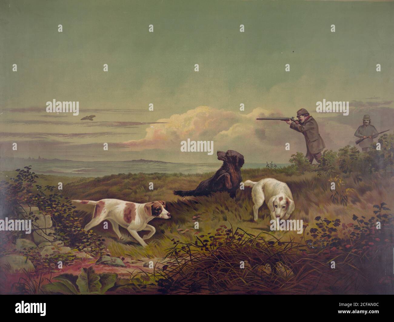 Quail shooting hi-res stock photography and images - Alamy
