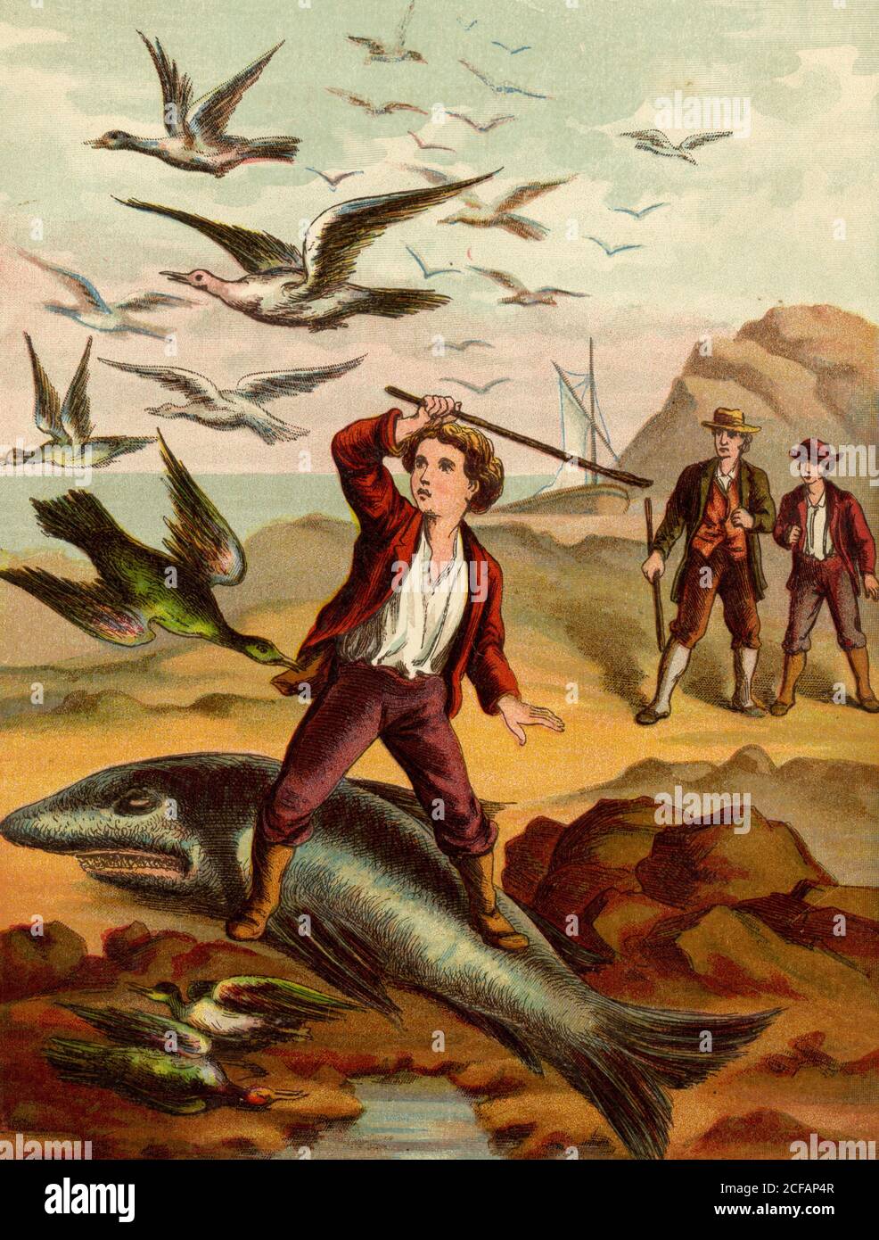 Beached shark hi-res stock photography and images - Alamy