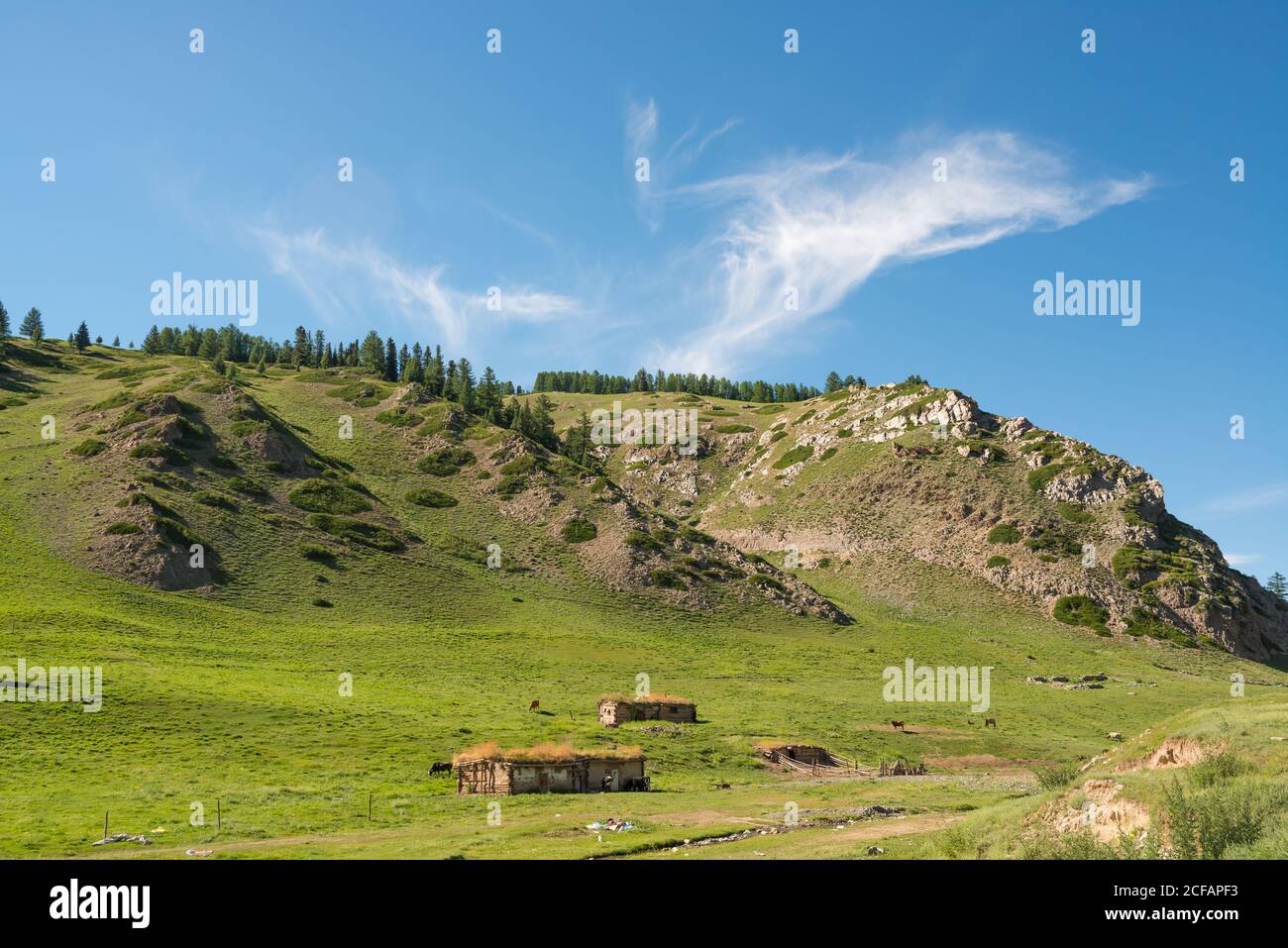 Magnificent scenery of rocky terrain with green grass in summer Stock ...