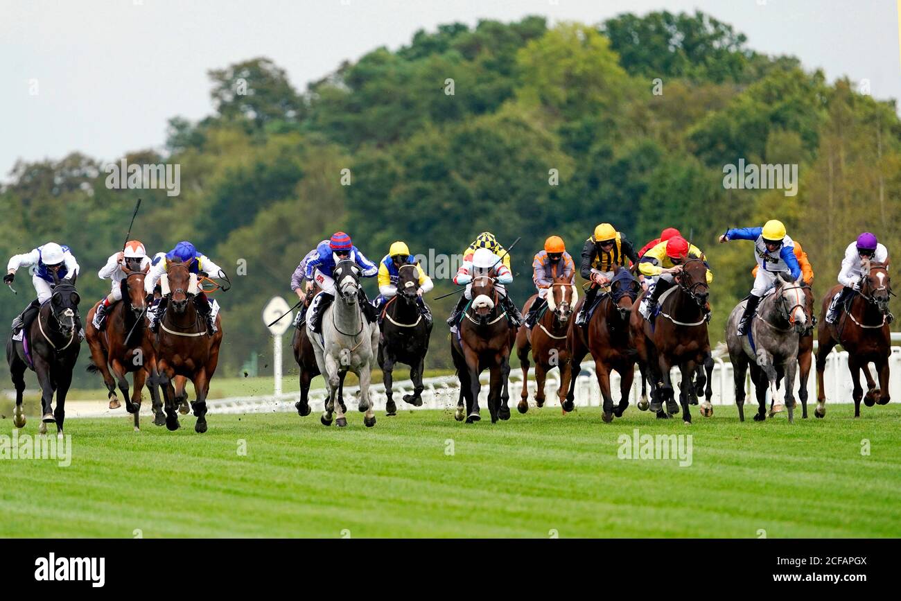 Bateaux london handicap ascot racecourse hi-res stock photography and ...