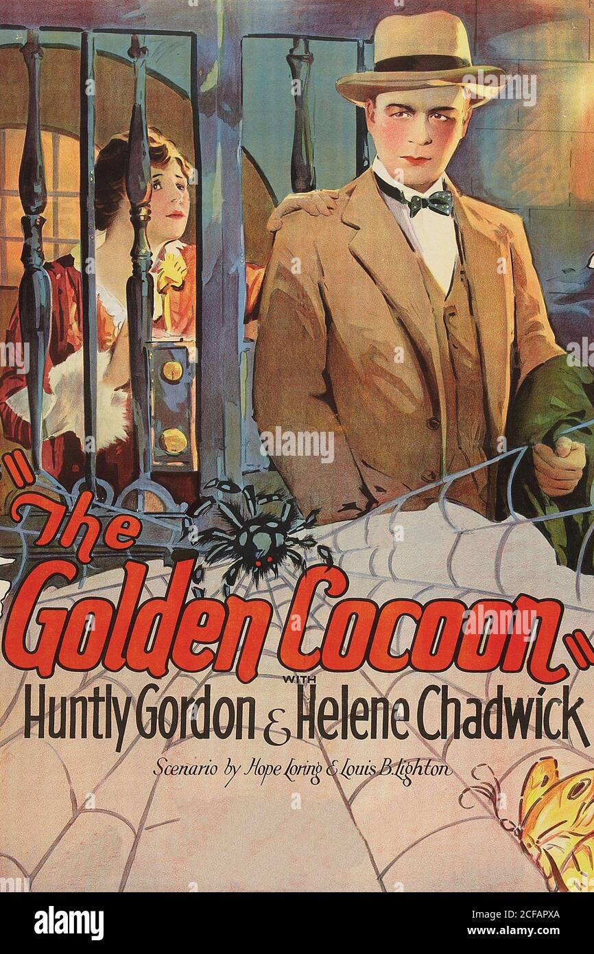 Golden cocoon hi-res stock photography and images - Alamy