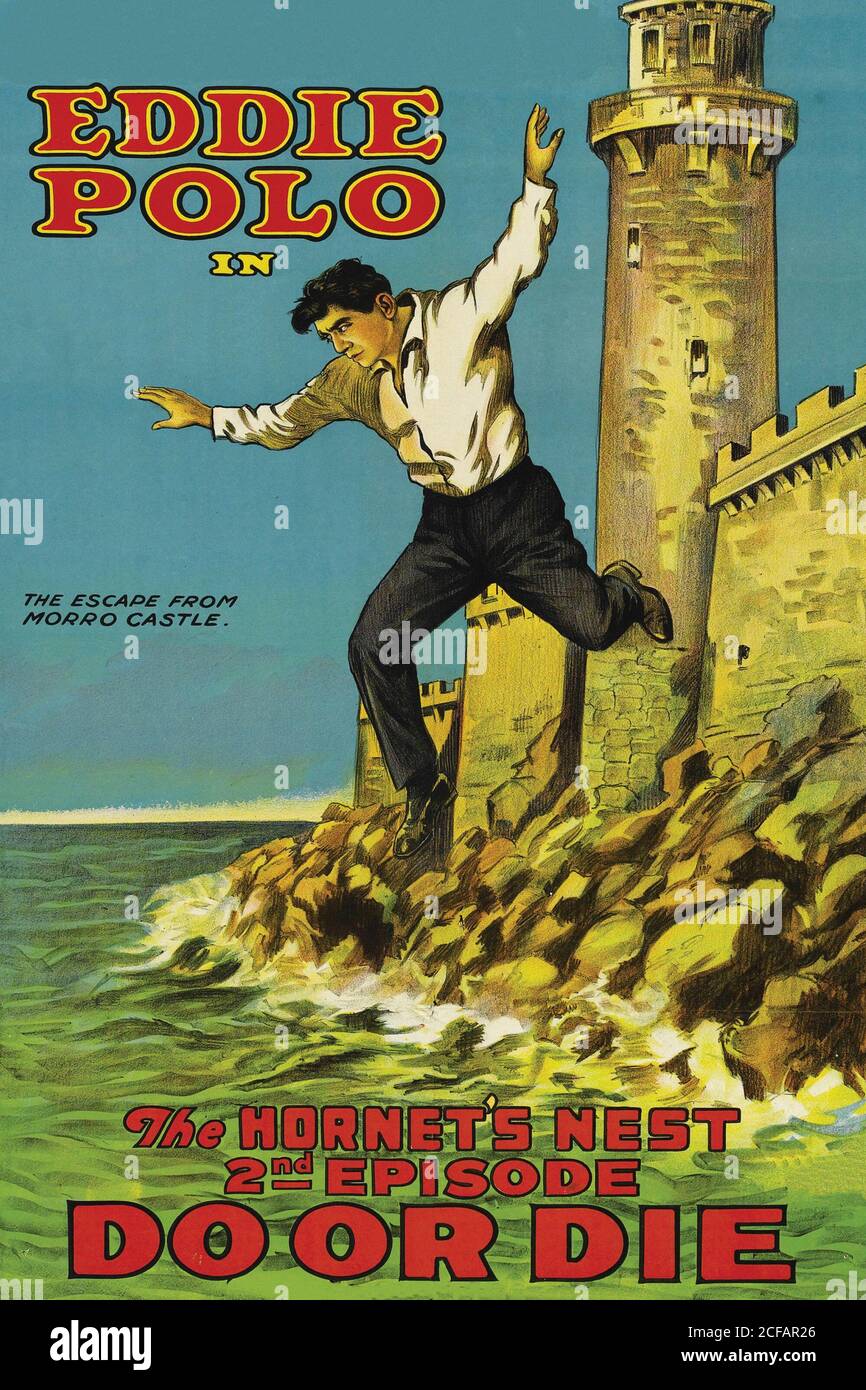 Hornets nets hi-res stock photography and images - Alamy