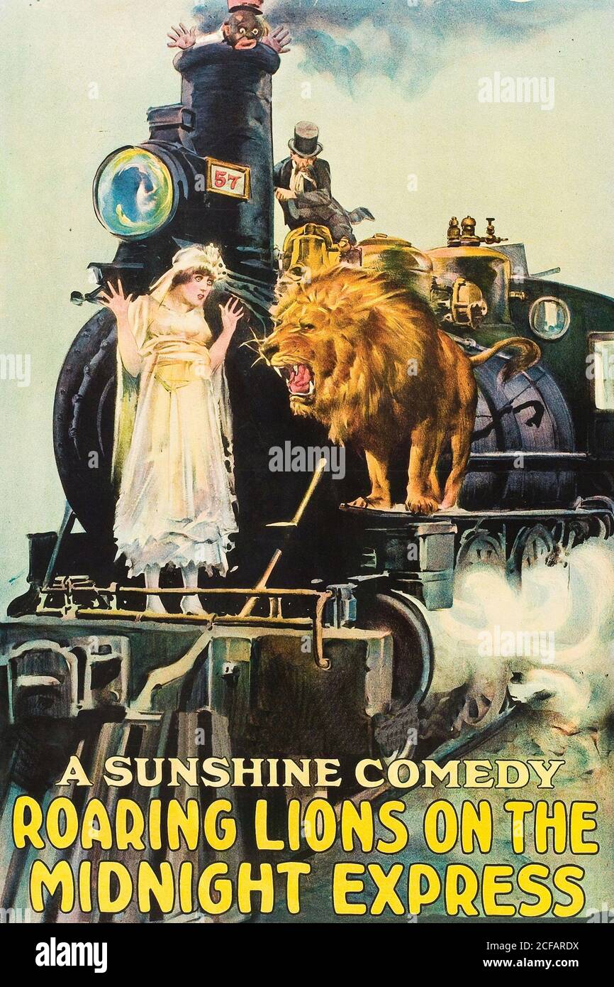 Midnight Express Train