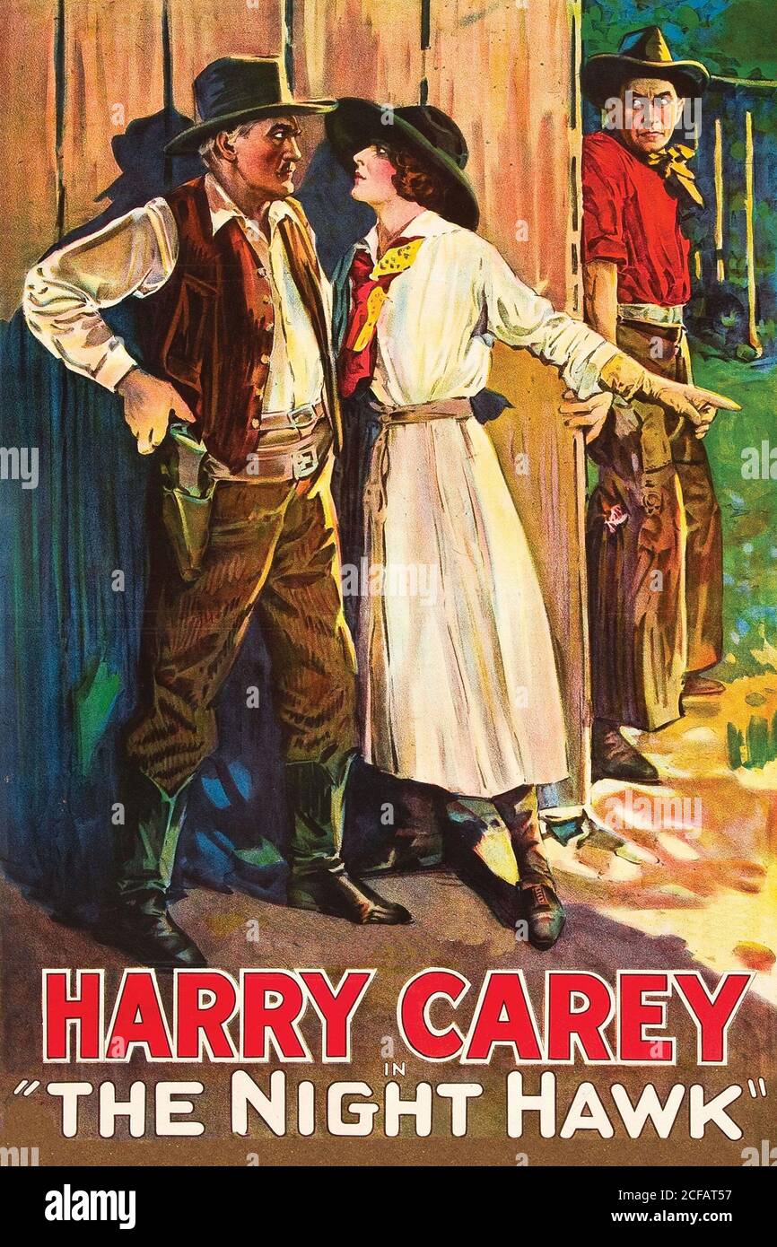 The Night Hawk Stock Photo - Alamy