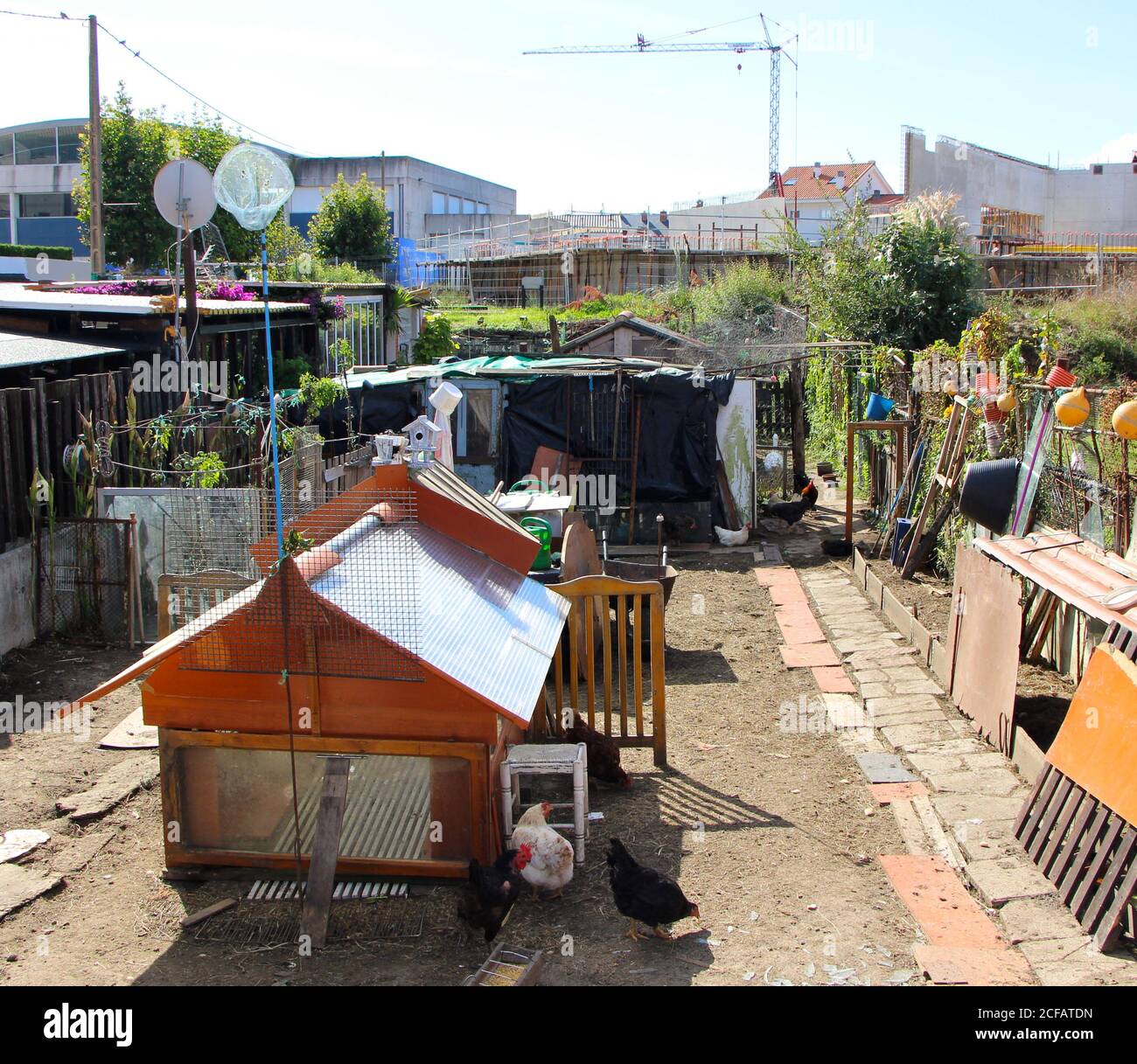 Disorganised chicken coup with black and white chickens and a hen house ...