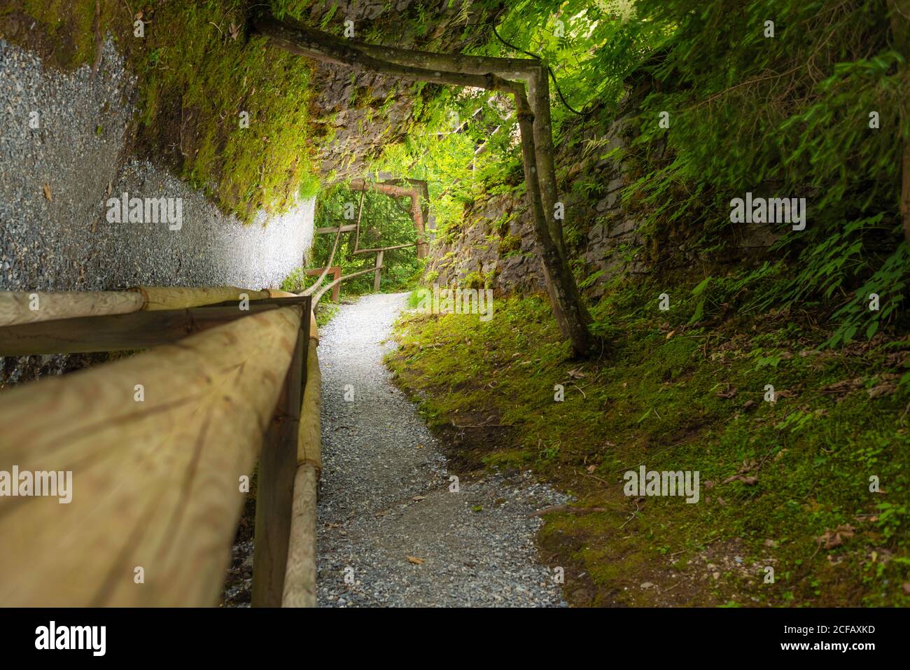 A surreal path with pebbles and forest both sides, middle of the day ...