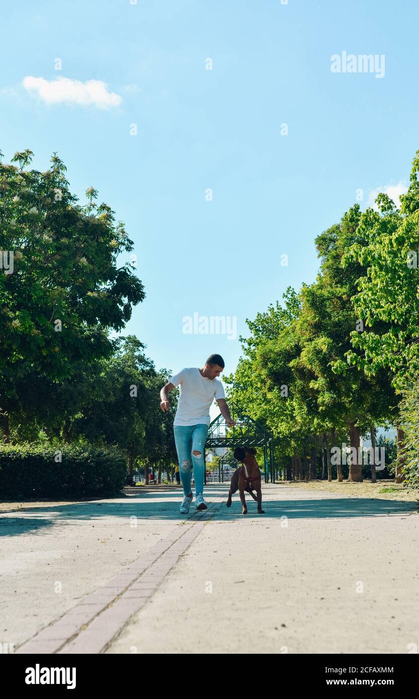 Man boxer vertical hi-res stock photography and images - Alamy