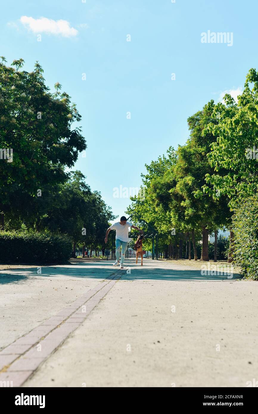Man boxer vertical hi-res stock photography and images - Alamy