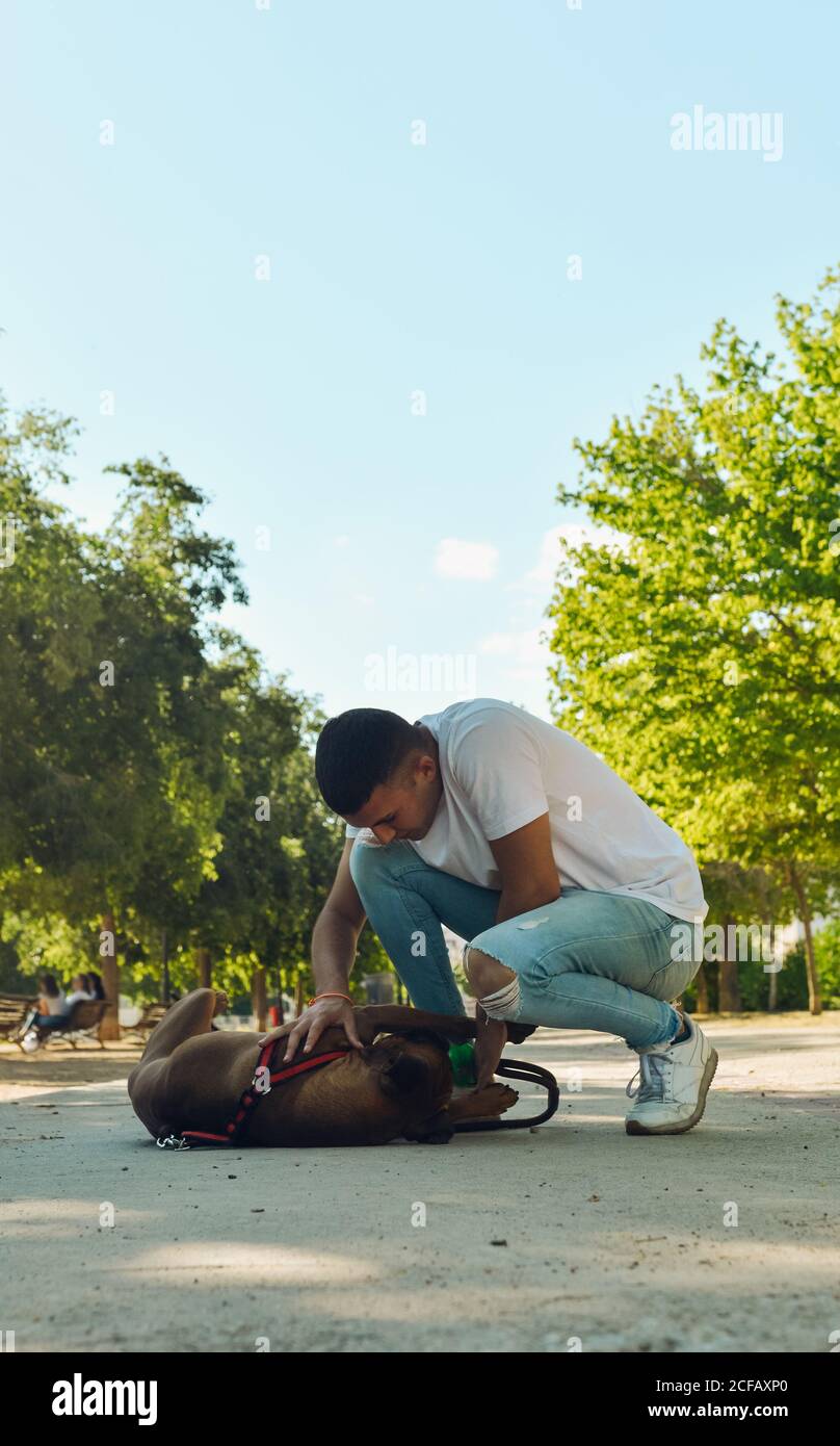 Man boxer vertical hi-res stock photography and images - Alamy