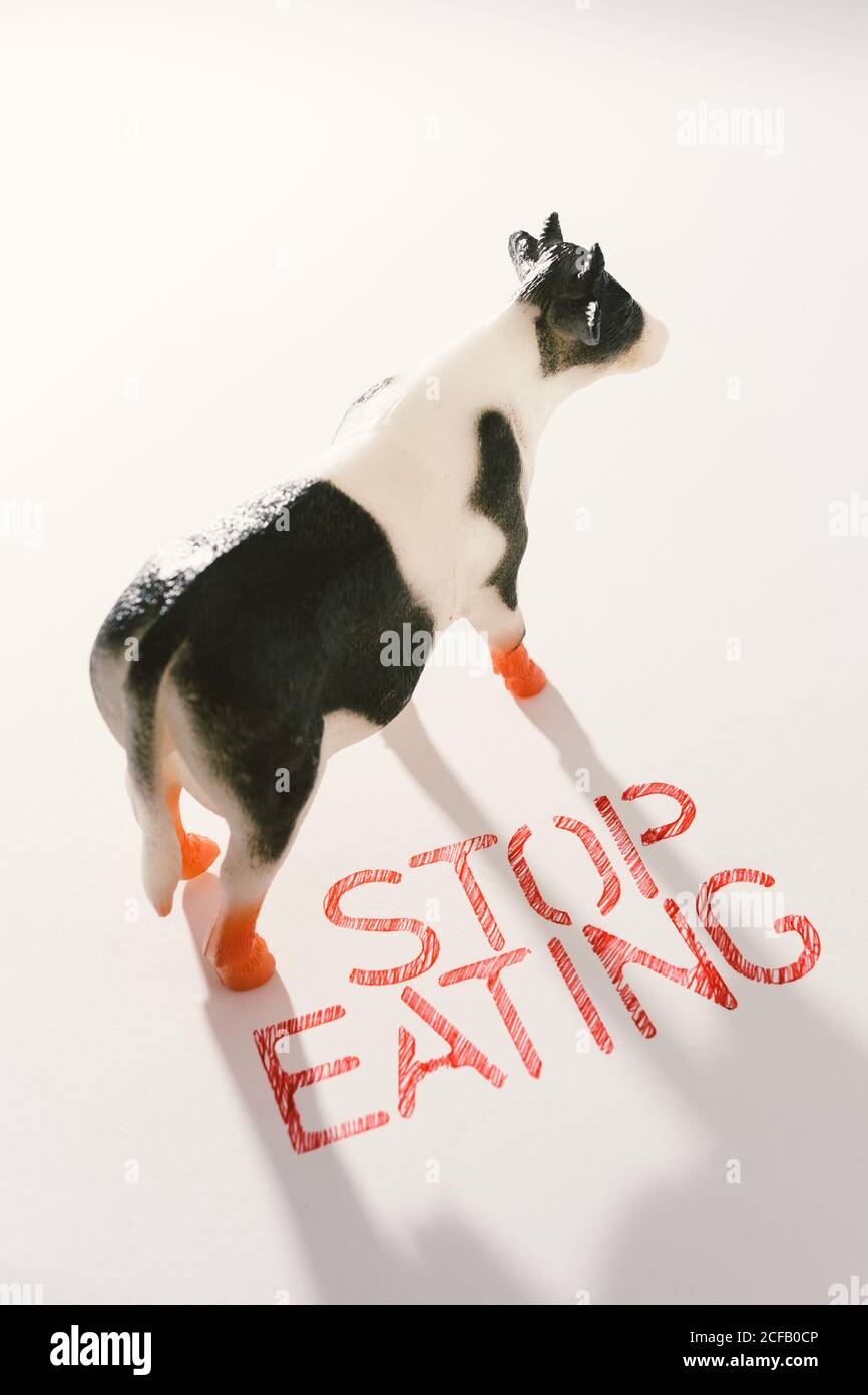 Slogan calling to stop eating animals Stock Photo - Alamy