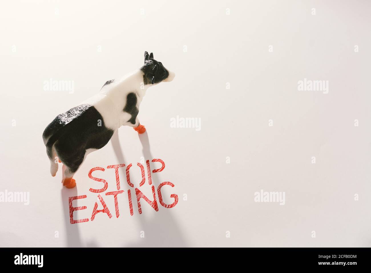From above small plastic figurine of cow against white background with ...