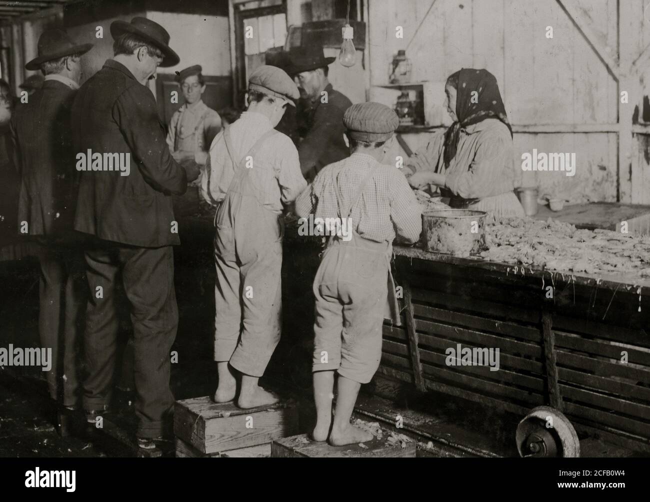 Eight-year-old Max, one of the young shrimp pickers in the Dunbar ...